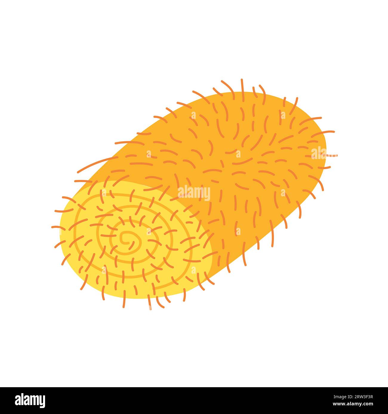 Cartoon fur plaid Stock Vector Image & Art - Alamy