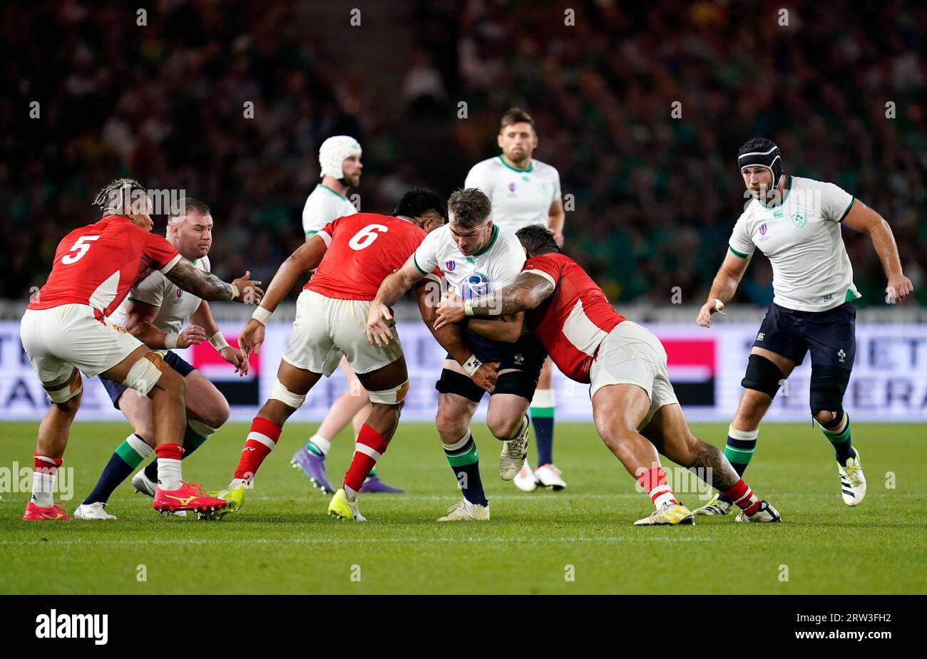 Tonga ampics hi-res stock photography and images - Alamy