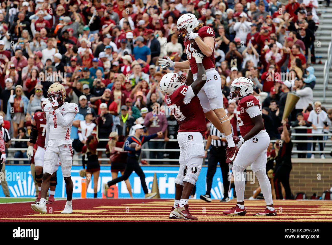 CHESTNUT HILL, MA - SEPTEMBER 16: Florida State Seminoles tight end ...