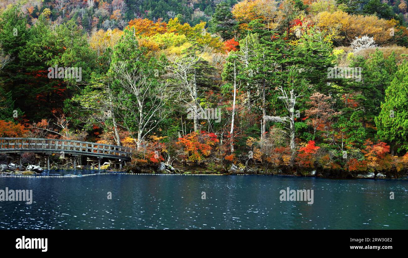 The scenery of beautiful autumn leaves in Japan The scenery of Nikko ...