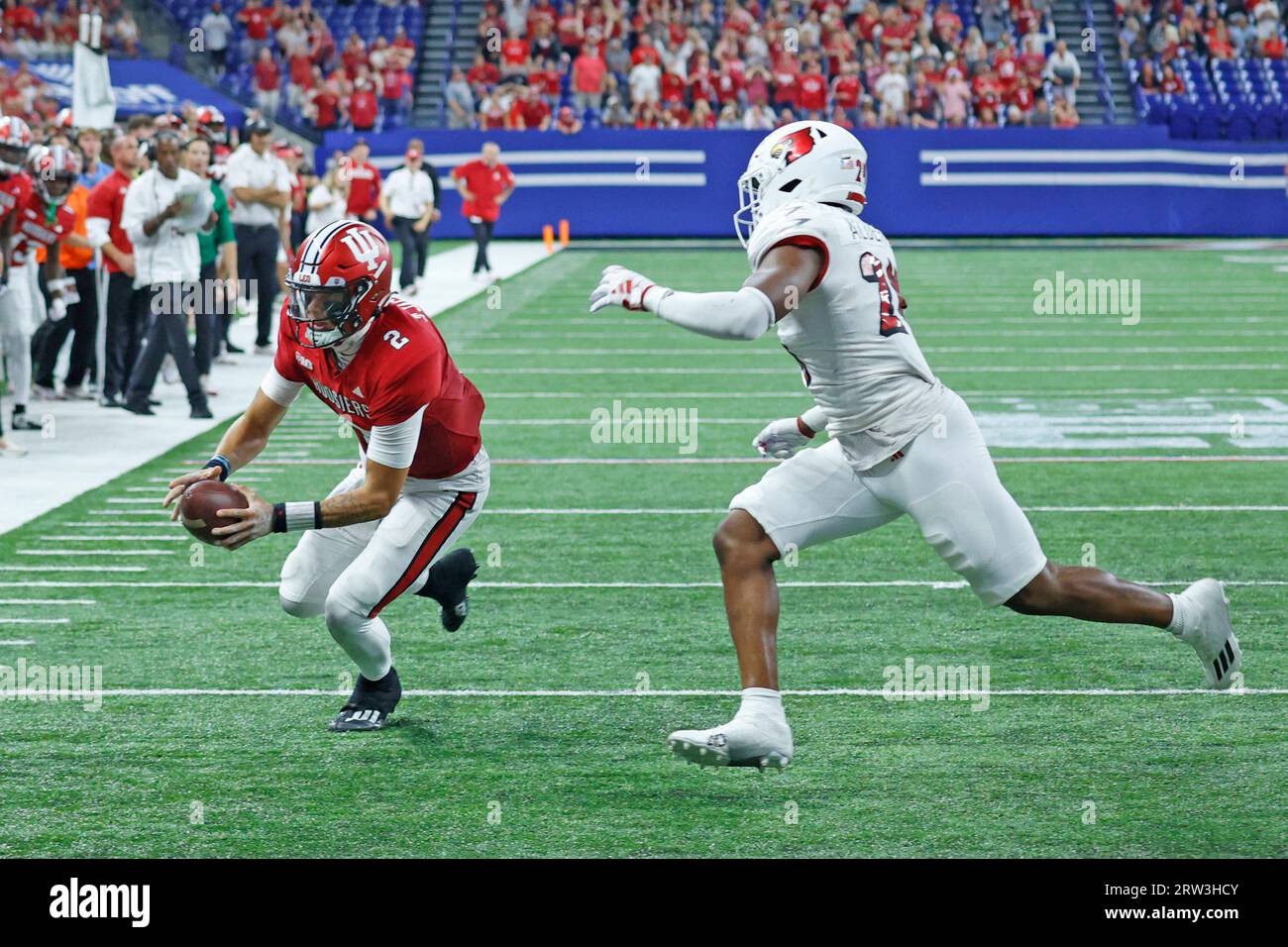 INDIANAPOLIS, IN - SEPTEMBER 16: Indiana Hoosiers quarterback Tayven ...