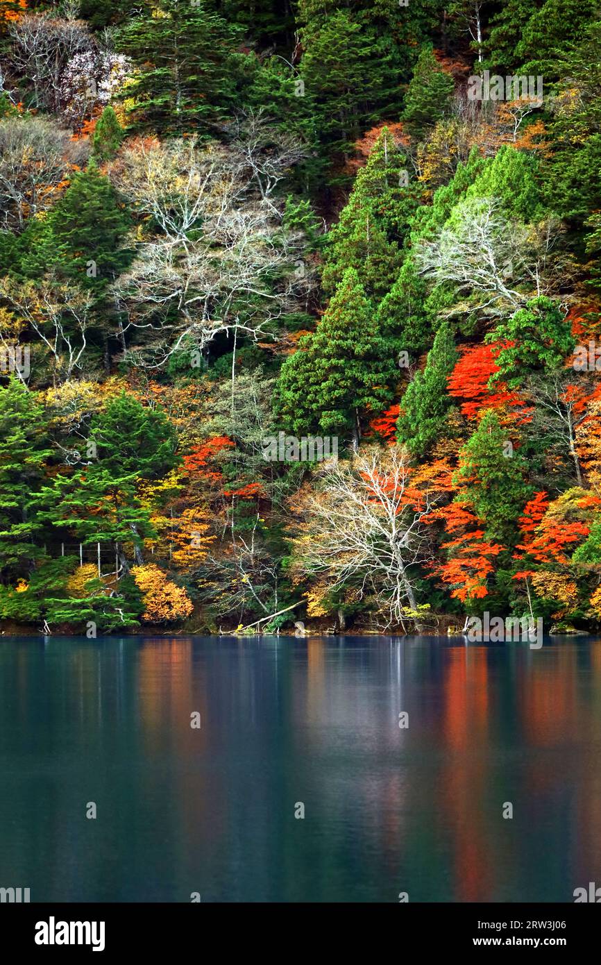 The scenery of beautiful autumn leaves in Japan The scenery of Nikko ...
