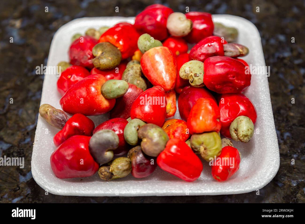 The cerrado cajuzinho (Anacardium humile), also known as cajuzinho-do ...