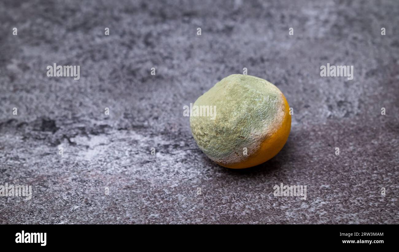 Surface discoloration hi-res stock photography and images - Alamy