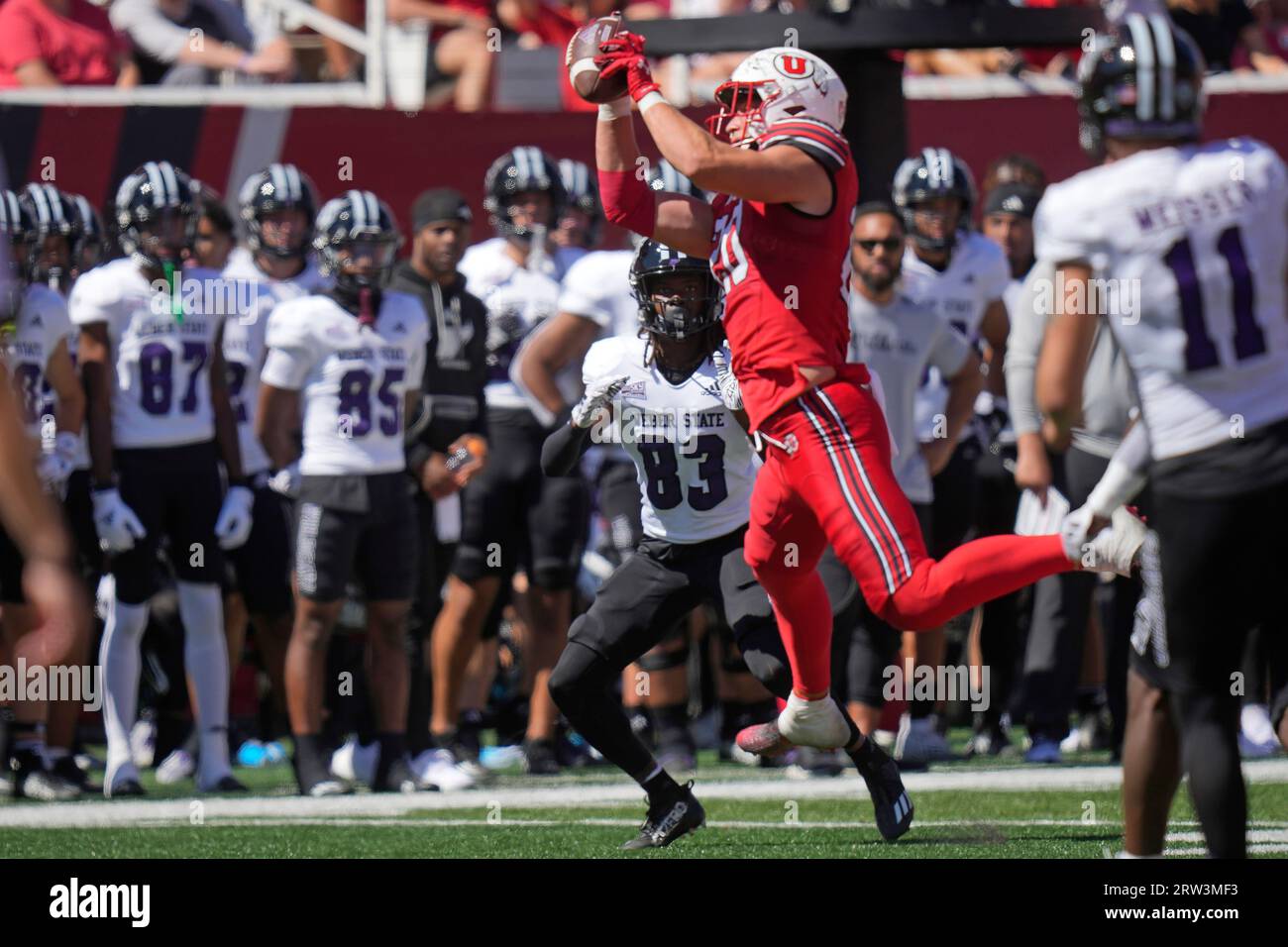 Utah linebacker Lander Barton (20) makes an interception in front of Weber State wide receiver ...