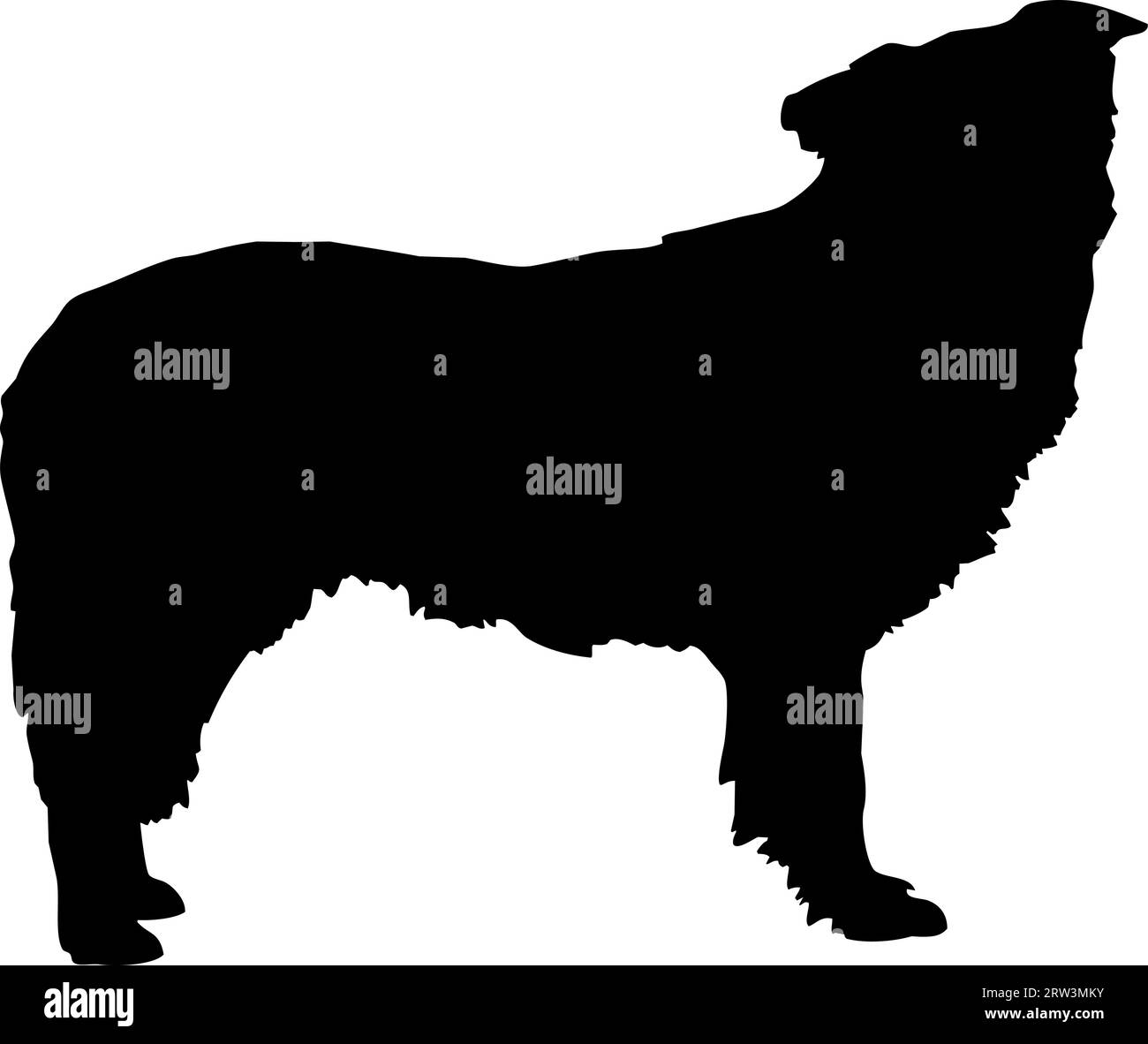 Dog silhouette sign vector illustration. Black dog shape over white ...