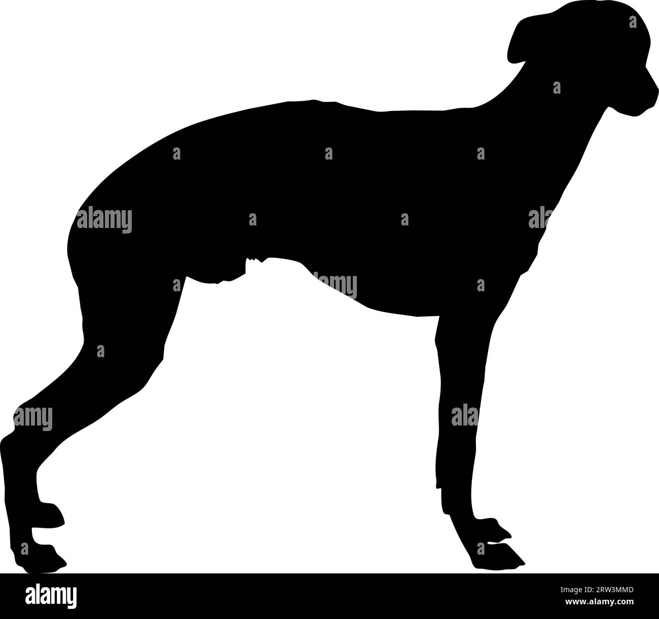 Dog silhouette sign vector illustration. Black dog or wolf shape over ...