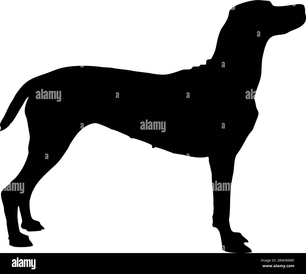 Dog silhouette vector illustration. Black dog shape over white ...