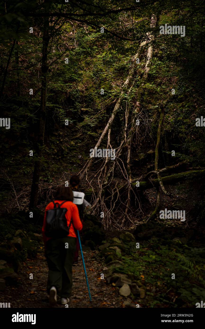 A peaceful scene of mountainous terrain featuring lush green grass and ...