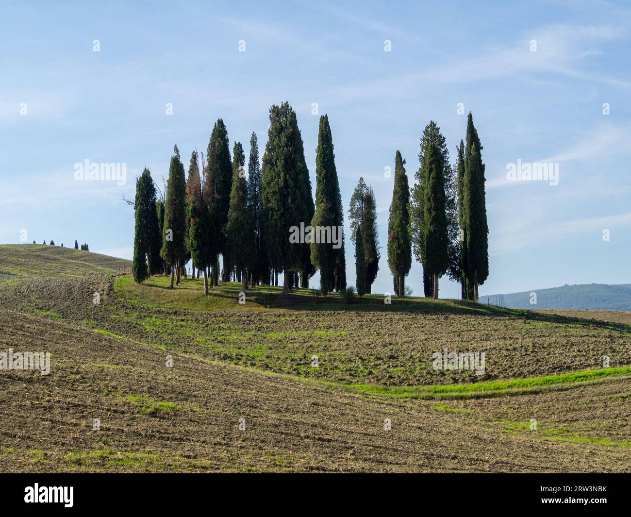Pencil cypress trees hi-res stock photography and images - Alamy