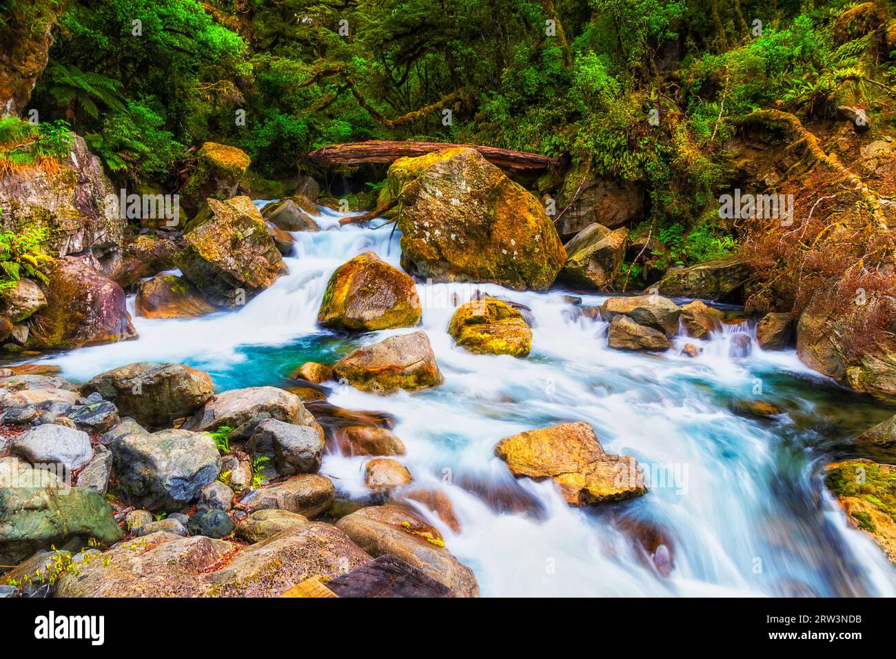 Scenic flowing stream of Lake Marian track waterfalls in Fiordland of ...