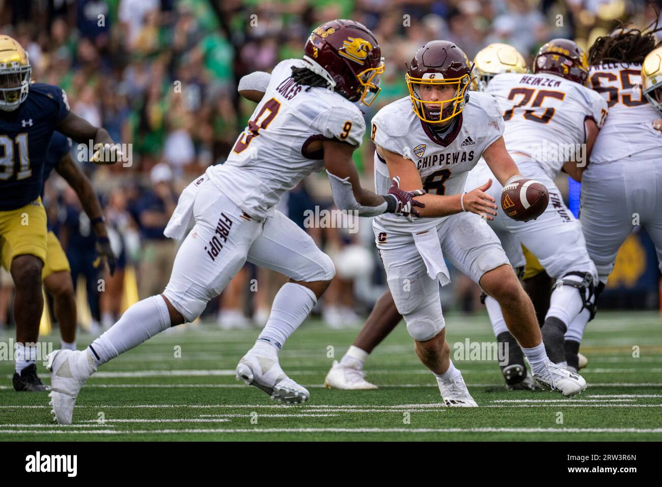 Central Michigan quarterback Jase Bauer (8) hands the ball off to ...