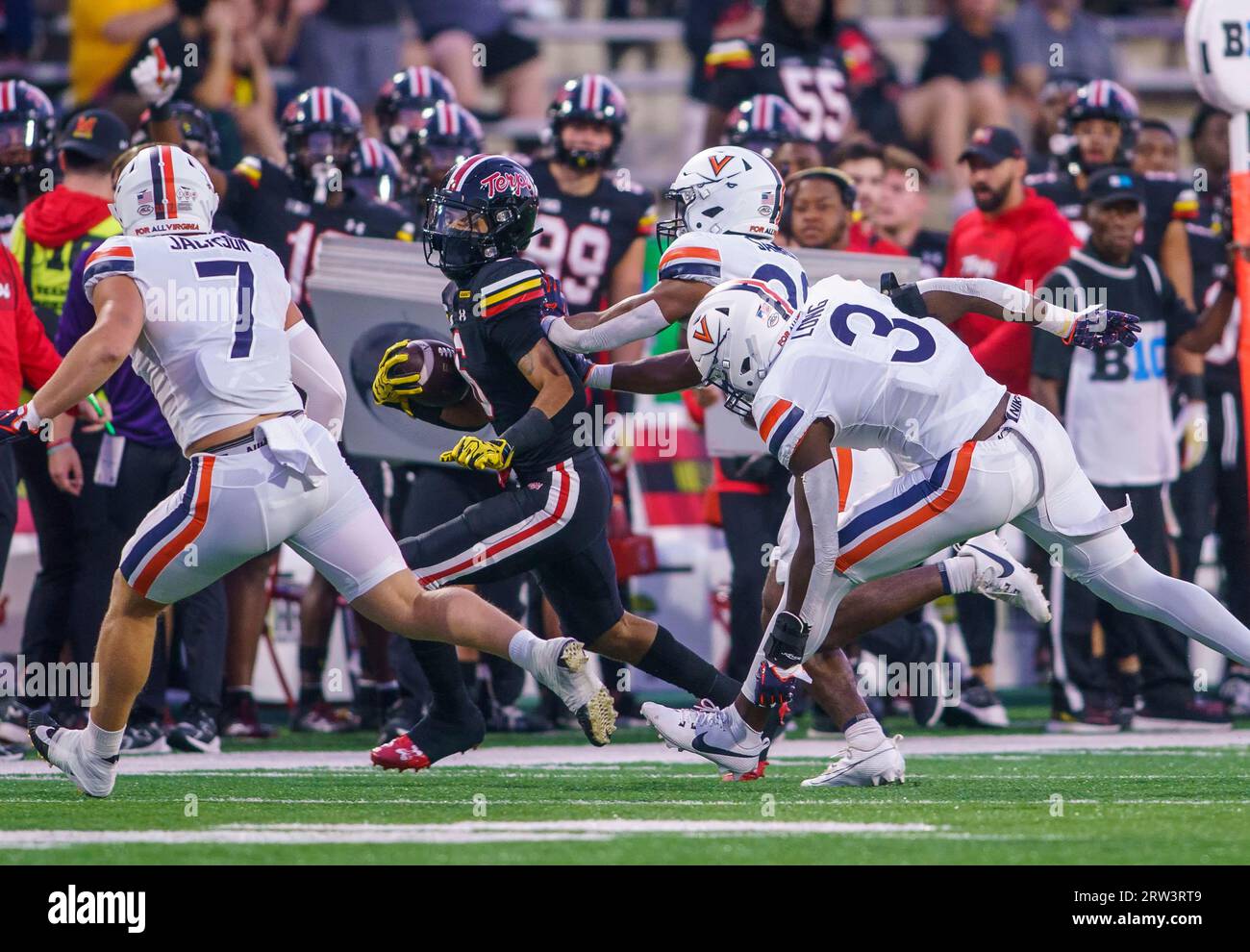 COLLEGE PARK, MARYLAND, USA - 15 SEPTEMBER : Maryland Terrapins wide ...