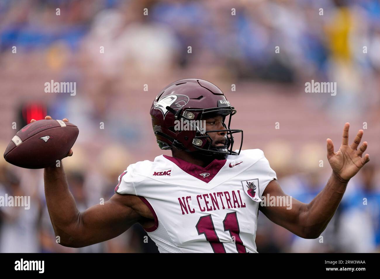 North Carolina Central quarterback Davius Richard passes during the ...