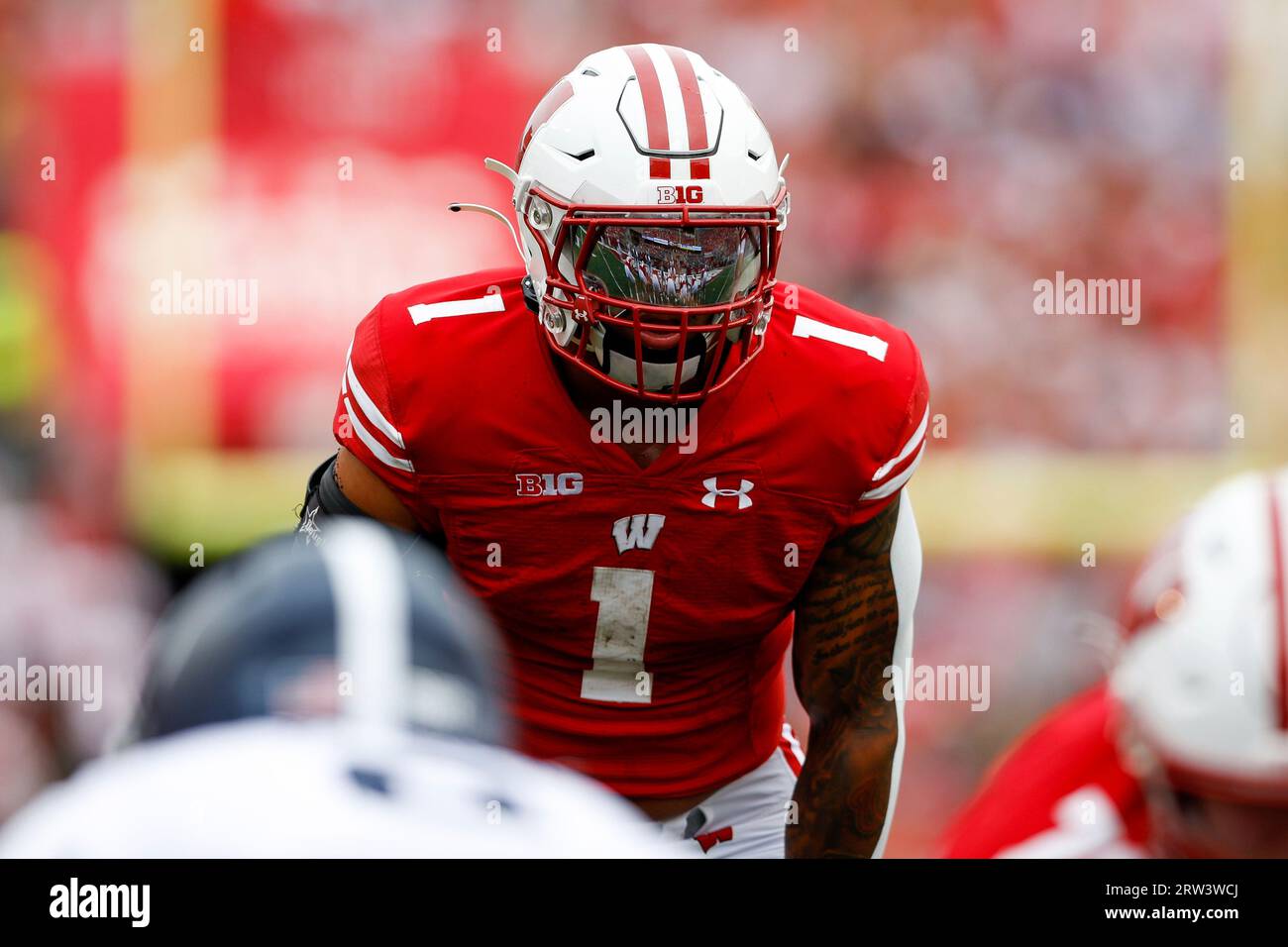 September 16, 2023: Wisconsin Badgers running back Chez Mellusi (1 ...