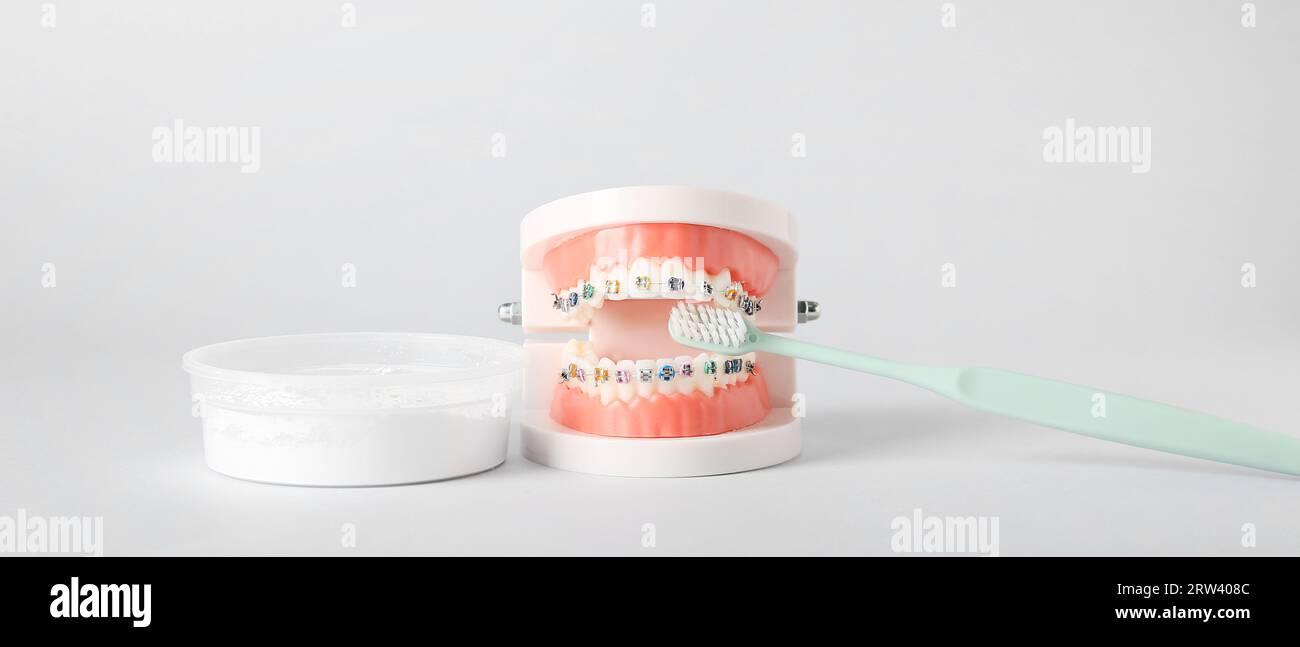 Plastic jaws with dental braces, tooth brush and powder on light ...