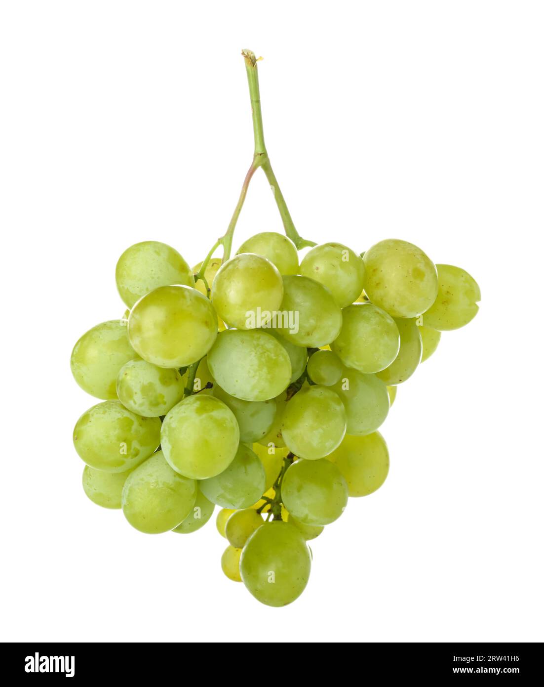 Sweet green grapes on white background Stock Photo - Alamy