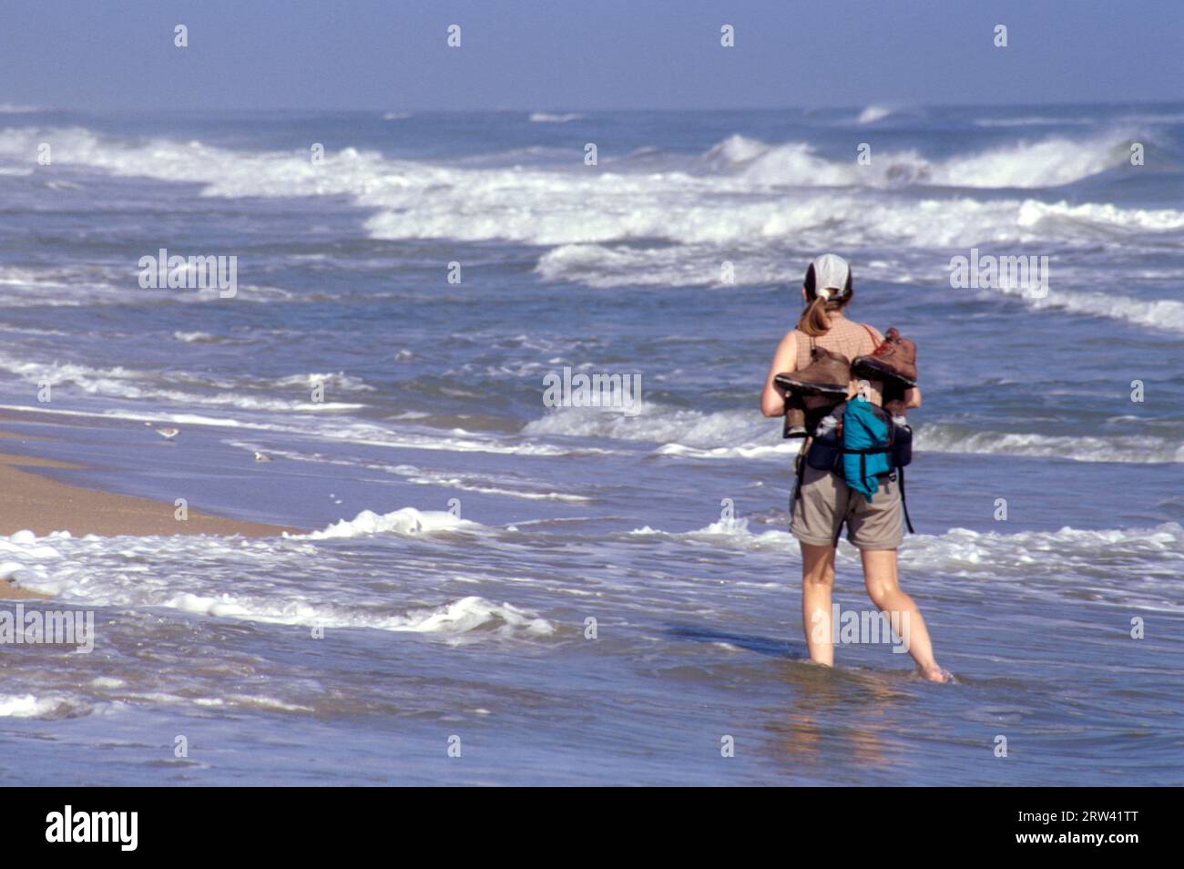 Wading on Klondike Beach, Canaveral National Seashore, Florida Stock ...