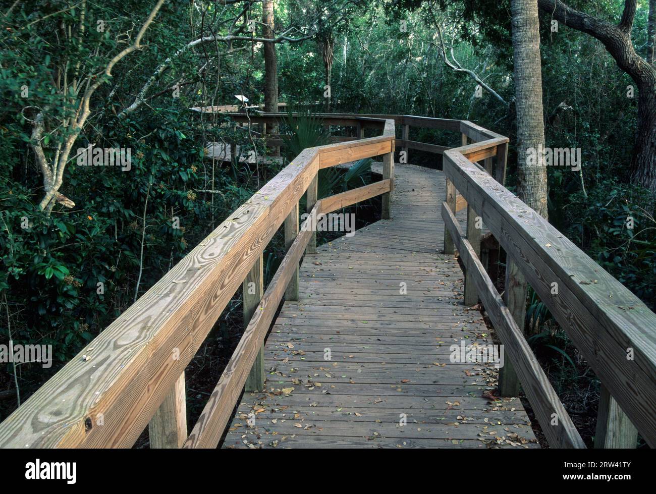 Boardwalk of Turtle Mound Trail, Canaveral National Seashore, Florida ...
