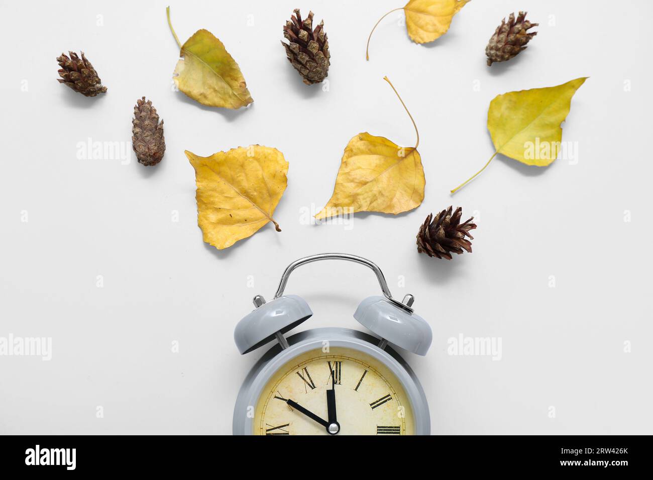 Alarm clock with autumn leaves on white background Stock Photo - Alamy