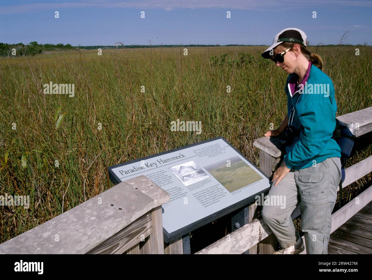 Anhinga Trail, Everglades National Park, Florida Stock Photo - Alamy