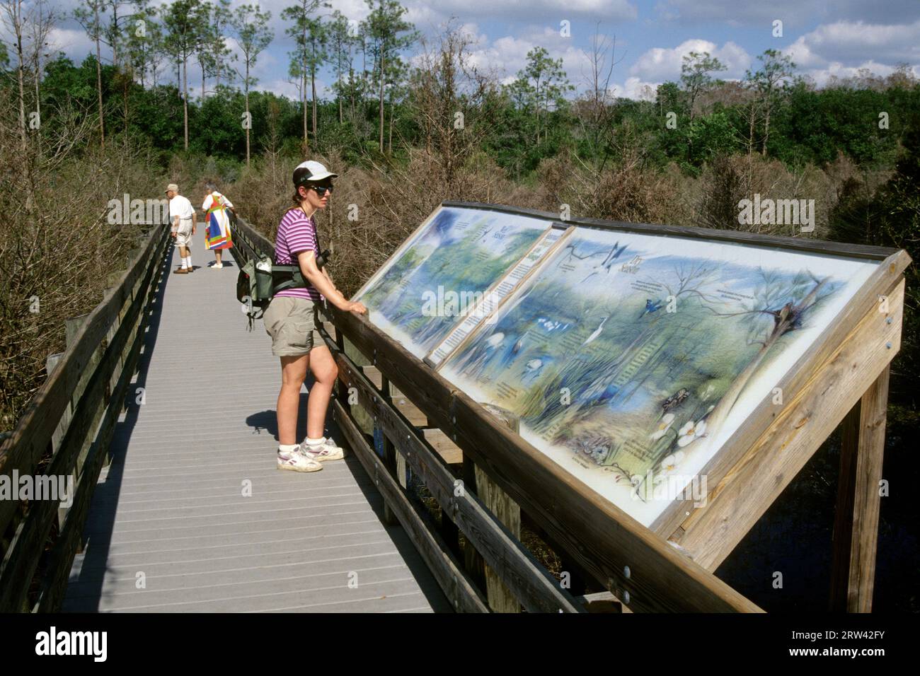 Boardwalk with interpretive board, Six Mile Cypress Slough Preserve ...