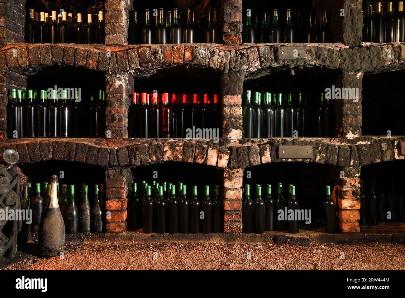 Many bottles of different alcohol drinks on shelves in cellar Stock ...