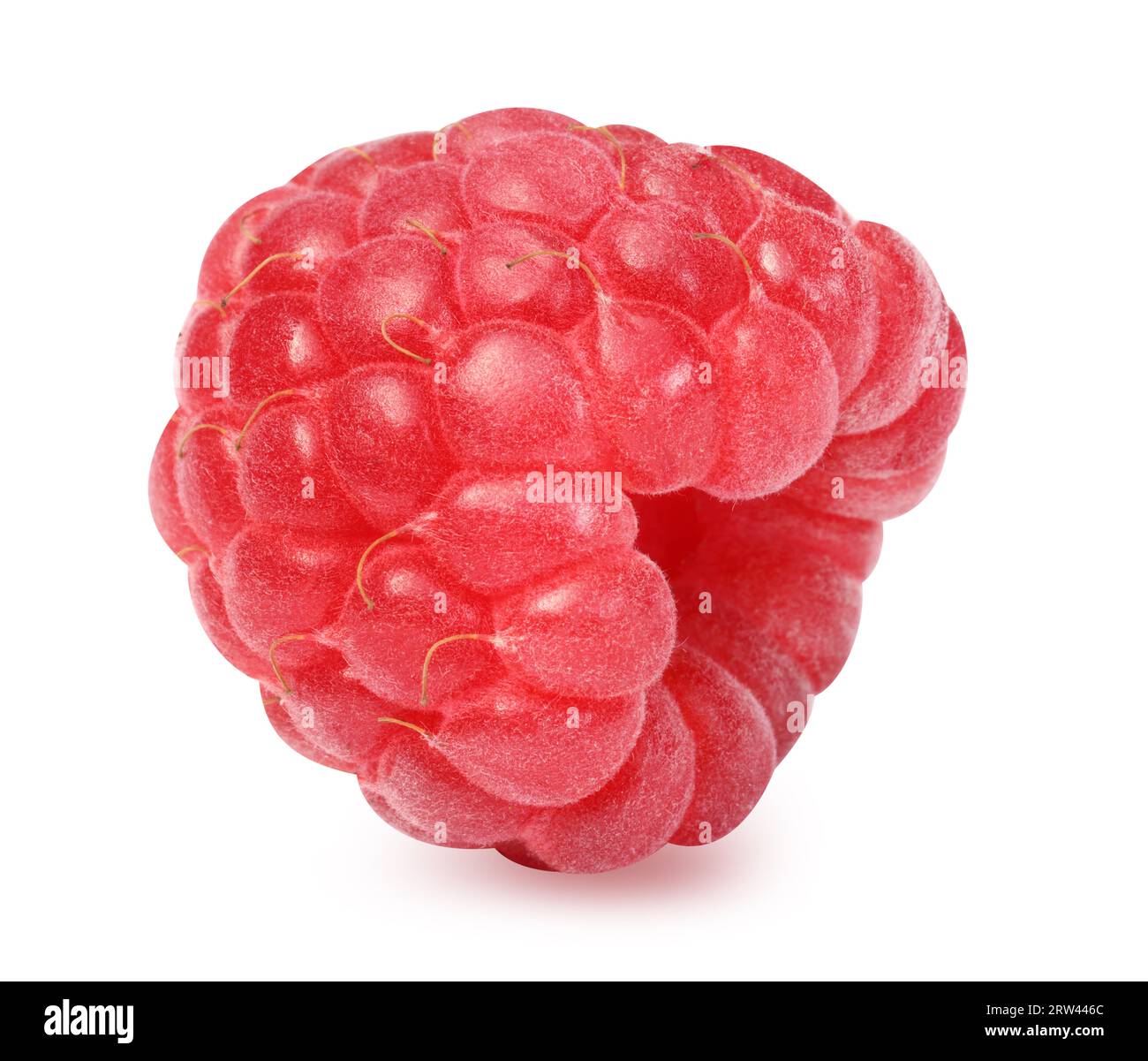 One tasty ripe raspberry isolated on white Stock Photo - Alamy