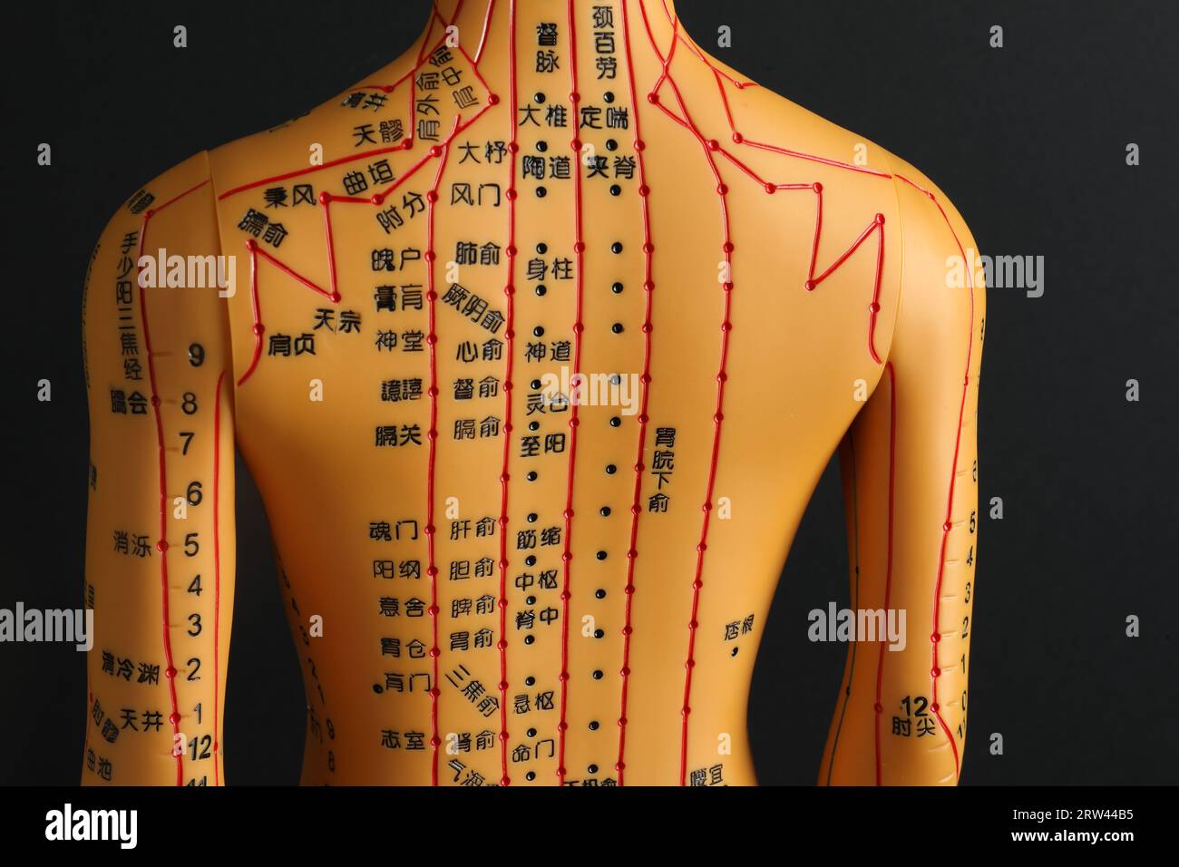Acupuncture model. Mannequin with dots and lines on black background ...