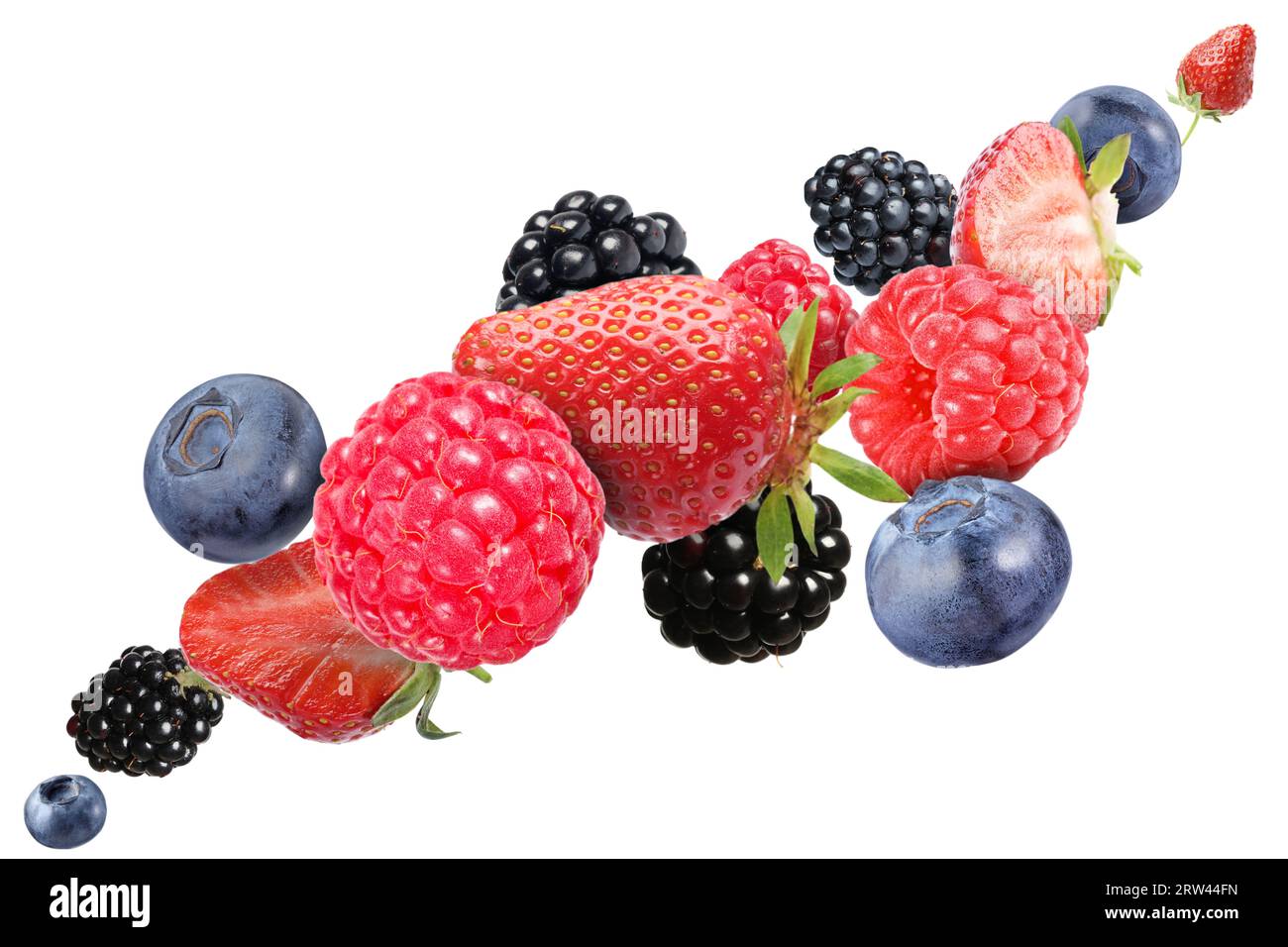 Black berries fruit fly summer hi-res stock photography and images - Alamy