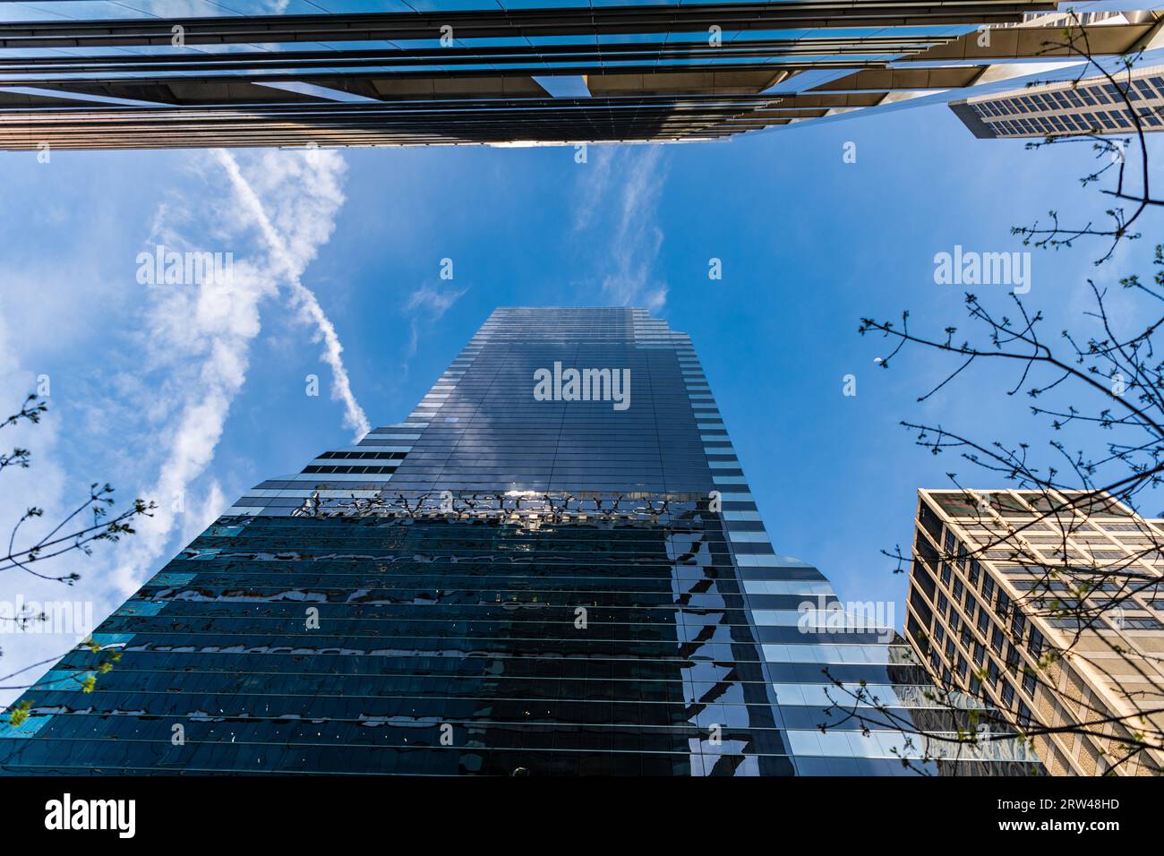 perspective view. skyscraper building architecture. skyscraper with glassy facade. modern city ...