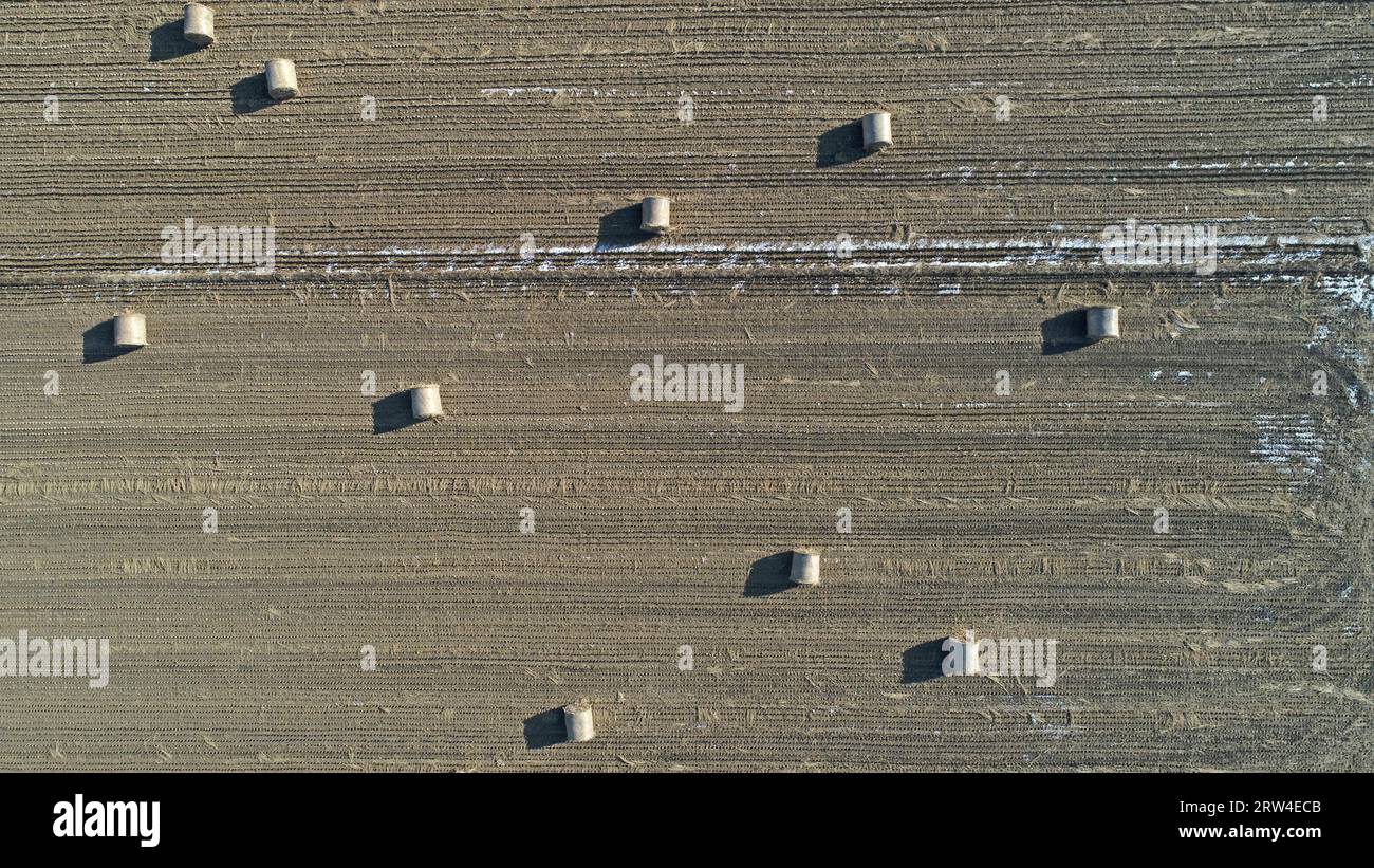 Farmers use agricultural machinery to compress rice straw and bundle ...