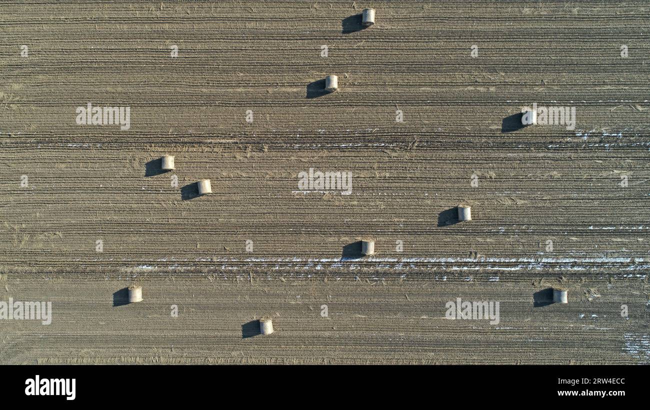 Farmers use agricultural machinery to compress rice straw and bundle ...