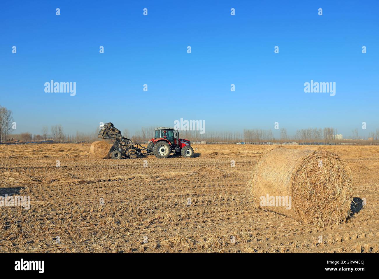 LUANNAN COUNTY, China - December 24, 2020: farmers use agricultural ...