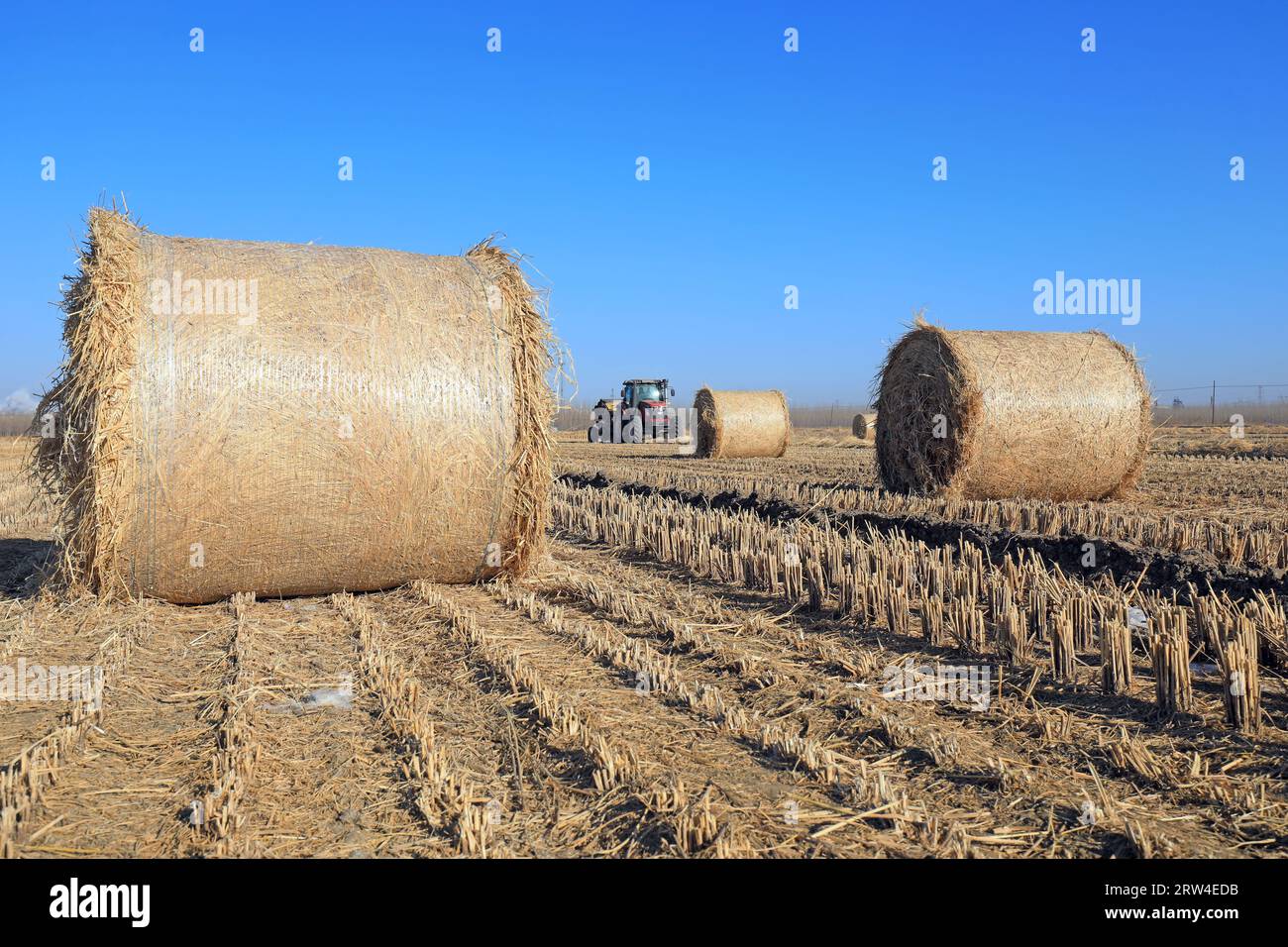 LUANNAN COUNTY, China - December 24, 2020: farmers use agricultural ...
