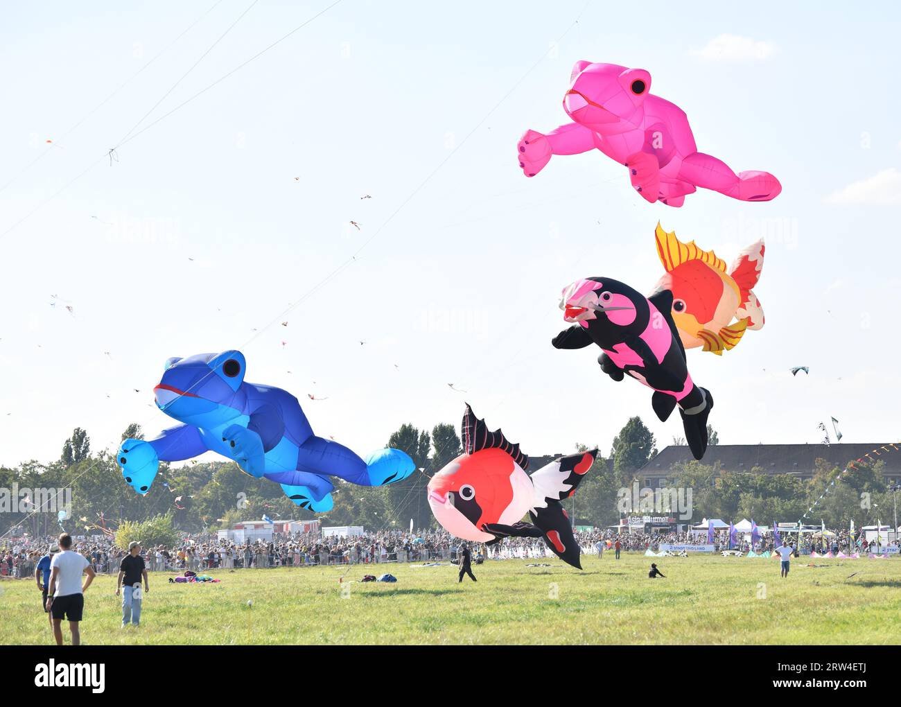 Berlin, Germany. 16th Sep, 2023. Kites fly in the sky during the Giant ...