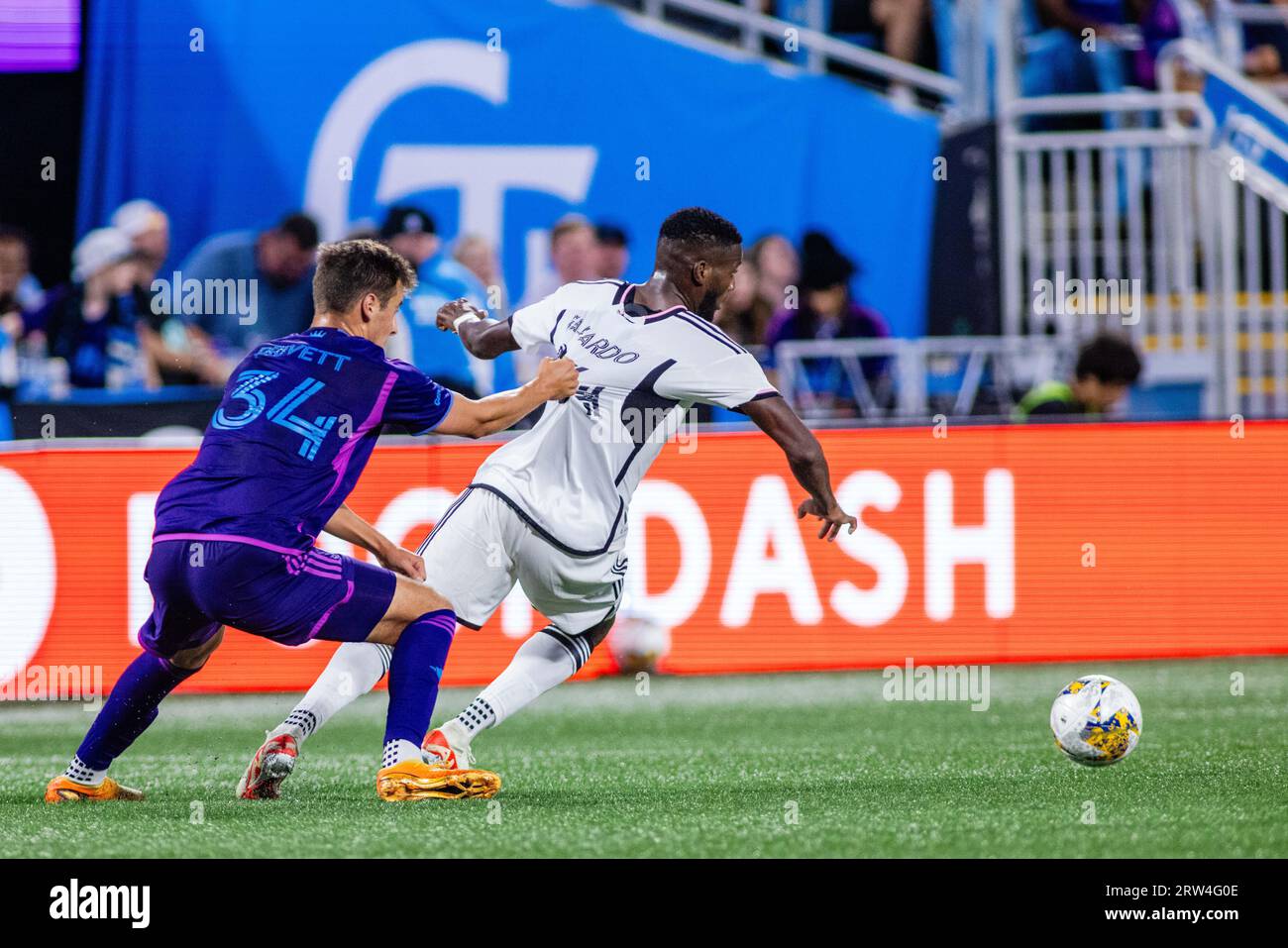 Privett hi-res stock photography and images - Alamy