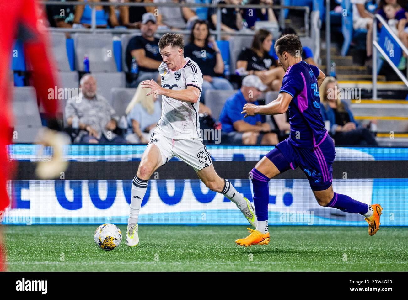 Privett hi-res stock photography and images - Alamy