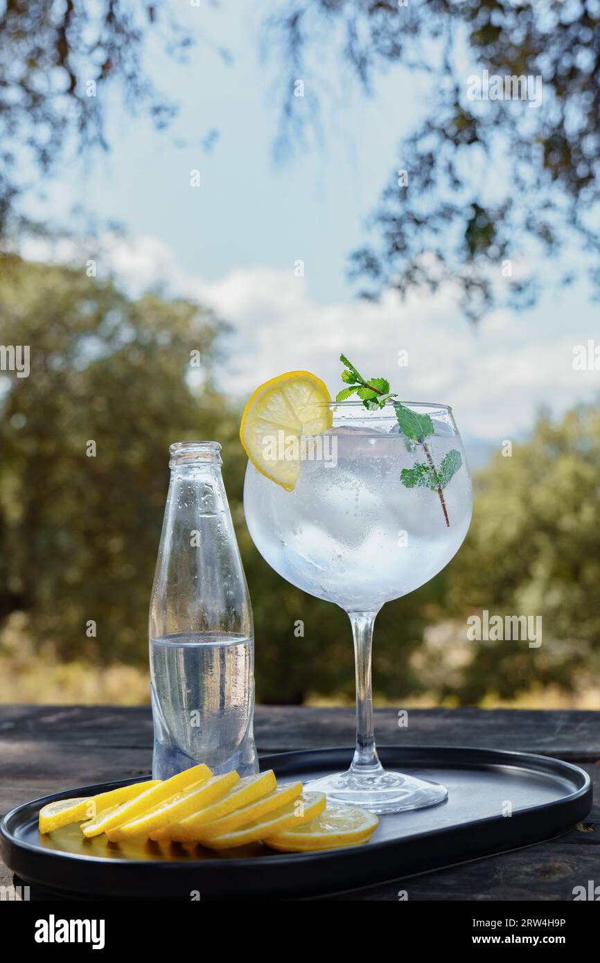 Glass of gin hi-res stock photography and images - Alamy