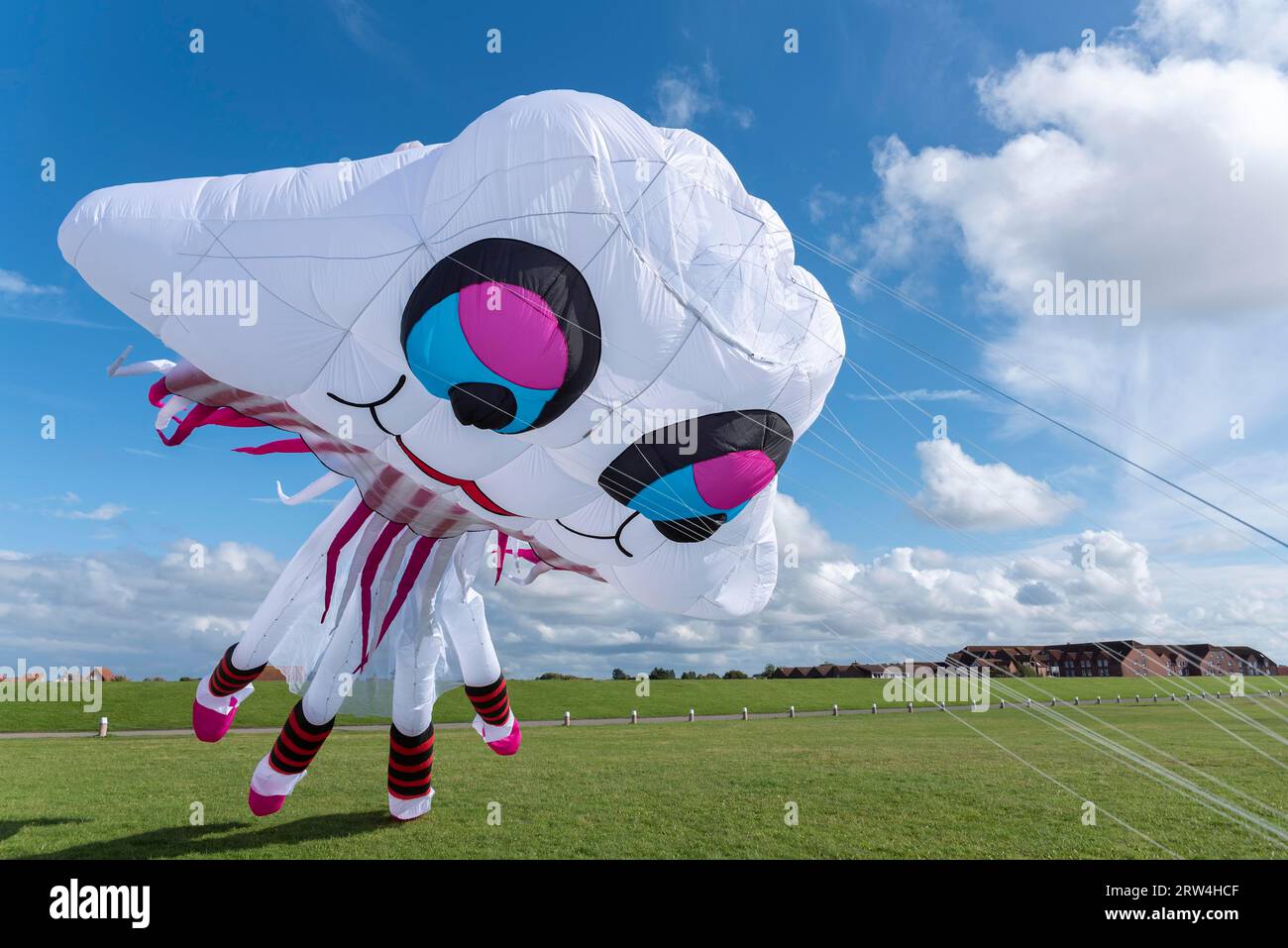 Flying kites at the so-called Drachenwiese, Norddeich, Lower Saxony ...
