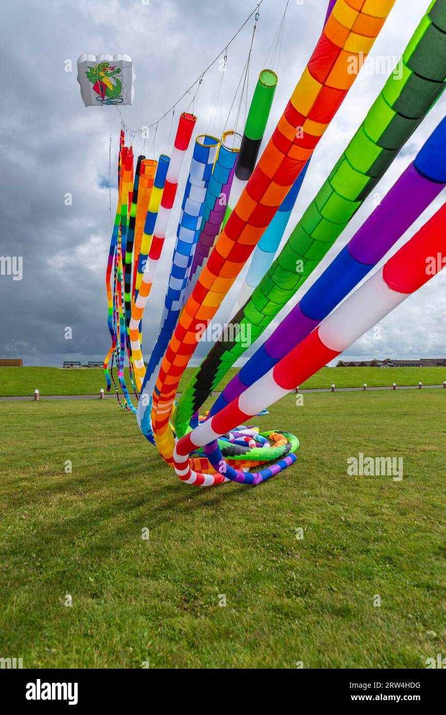 Flying kites at the so-called Drachenwiese, Norddeich, Lower Saxony ...
