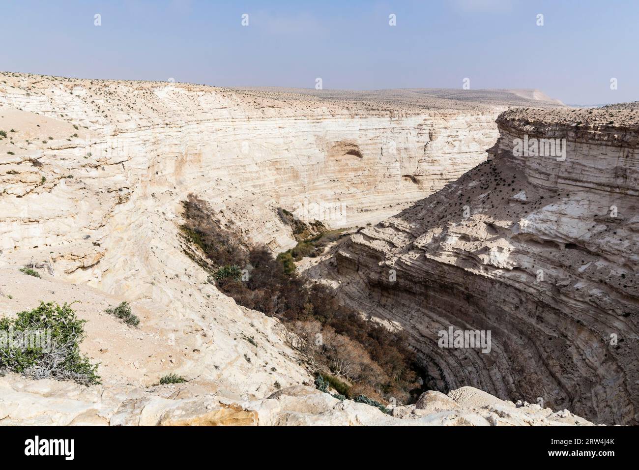 Canyon of En Advat or Ein Advat, Negev, Israel Stock Photo - Alamy