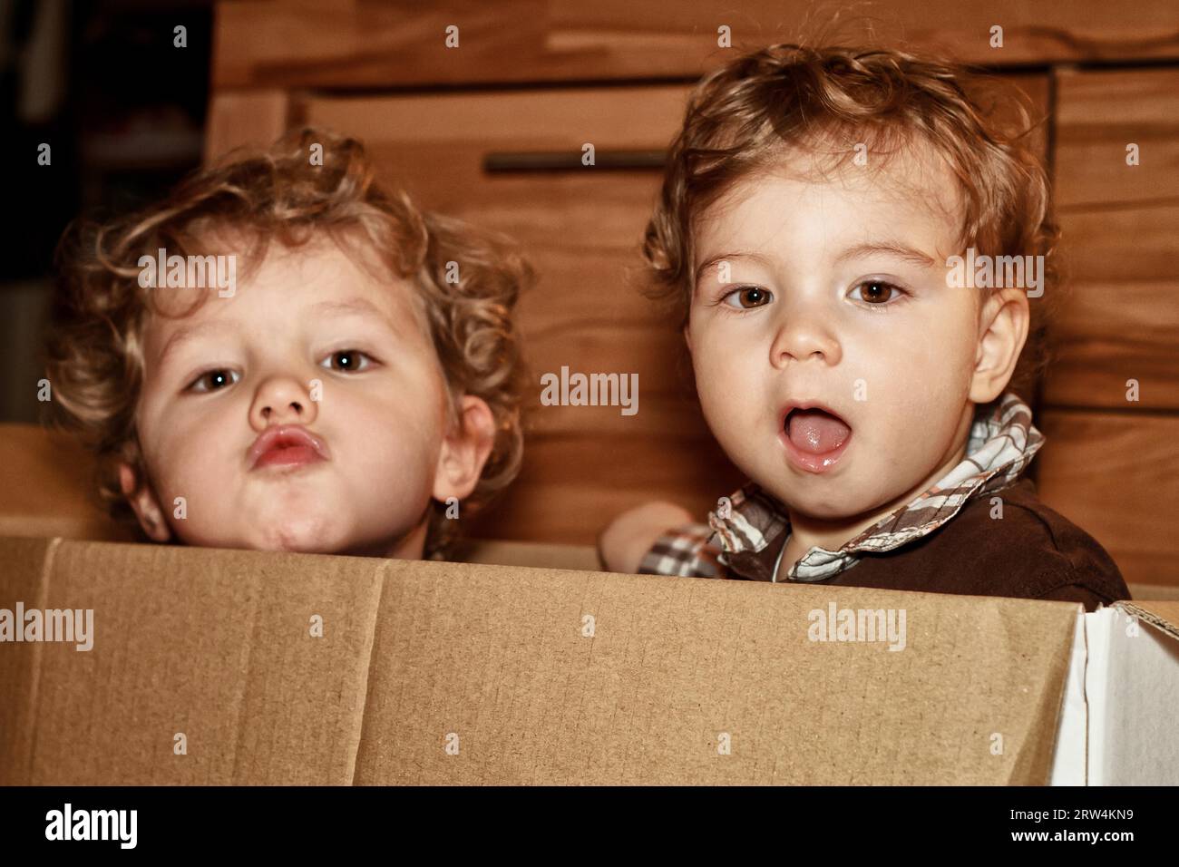 Jonathan and Jacob Noah in a cardboard box Stock Photo - Alamy