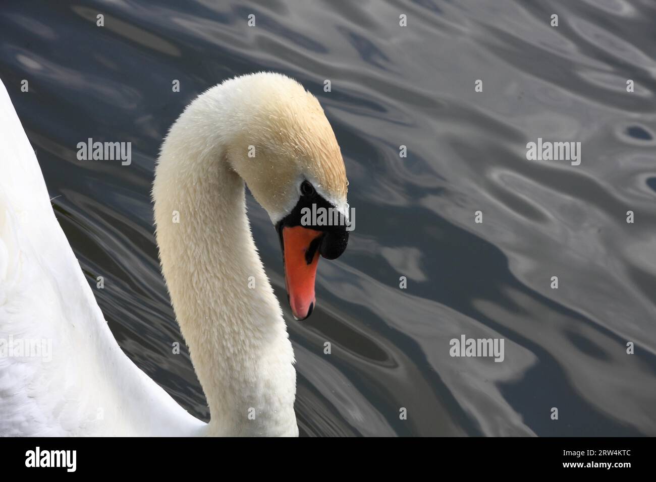 Cut by water hi-res stock photography and images - Alamy