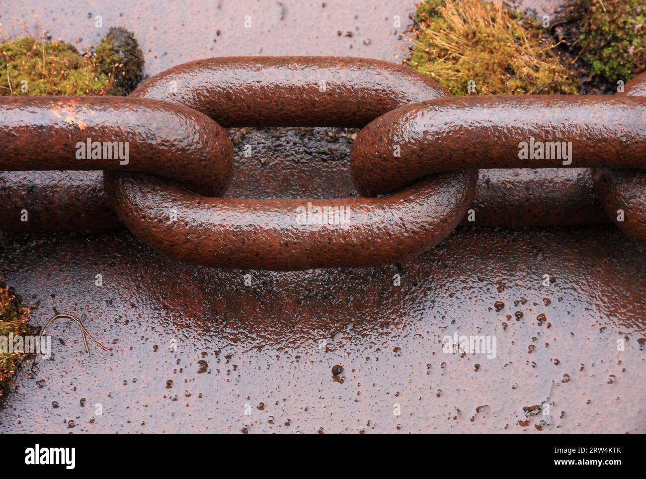 Chain link of a pull chain, wet glossy, background metal and moss Stock ...