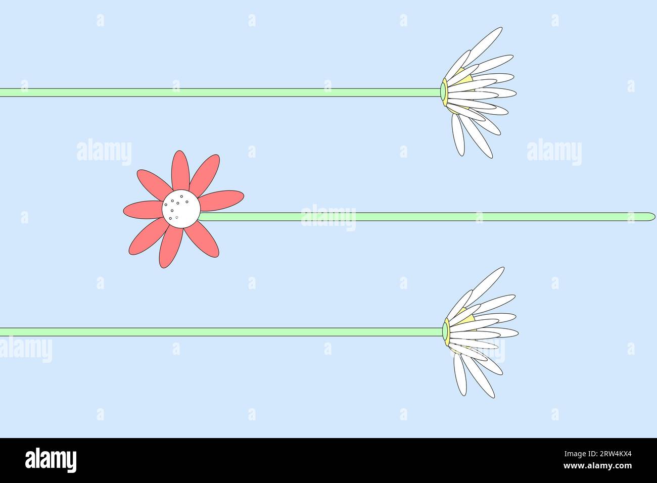 Three flower stems arranged against each other, illustration Stock ...