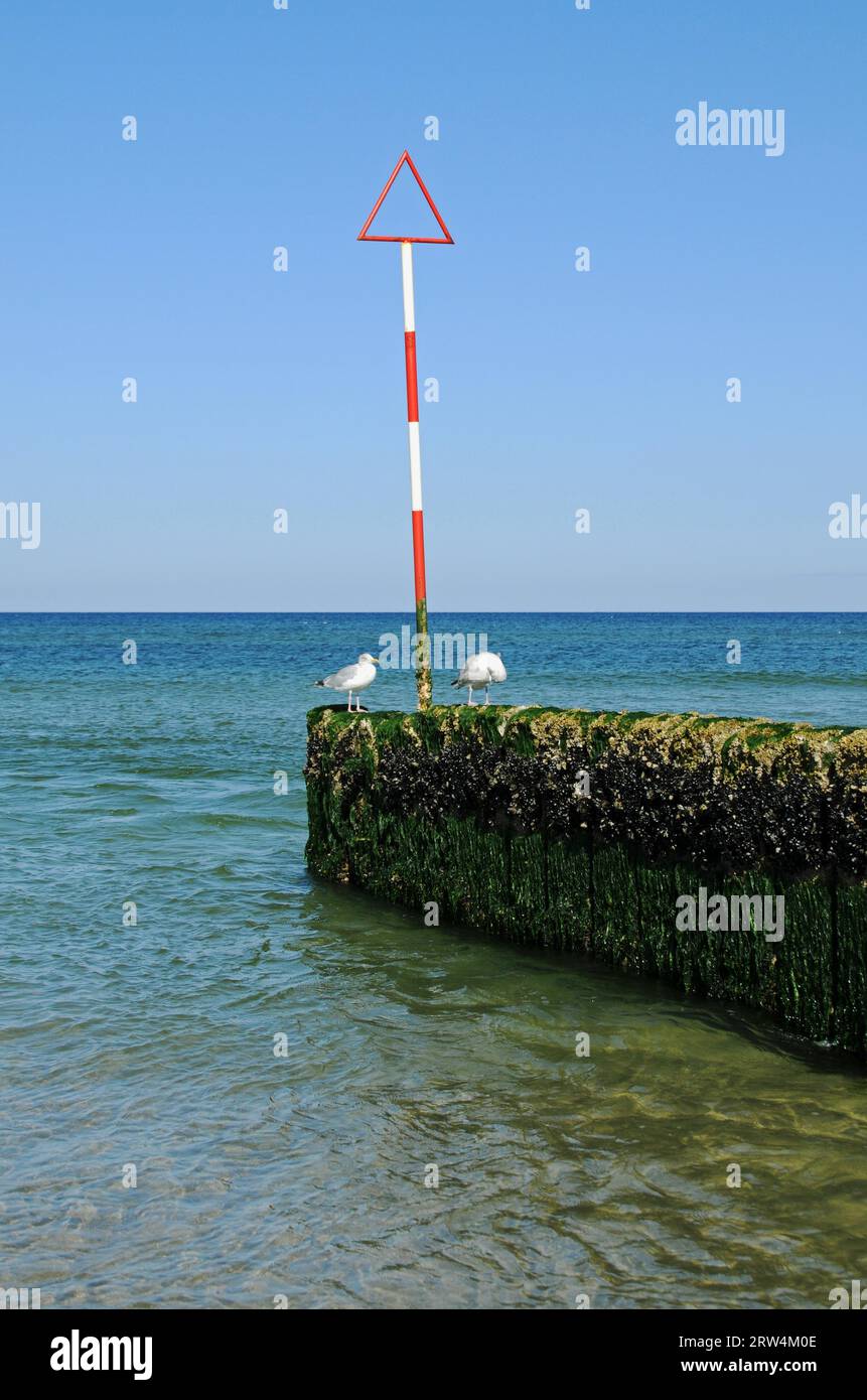 Coastal protection on the North Sea coast Stock Photo - Alamy