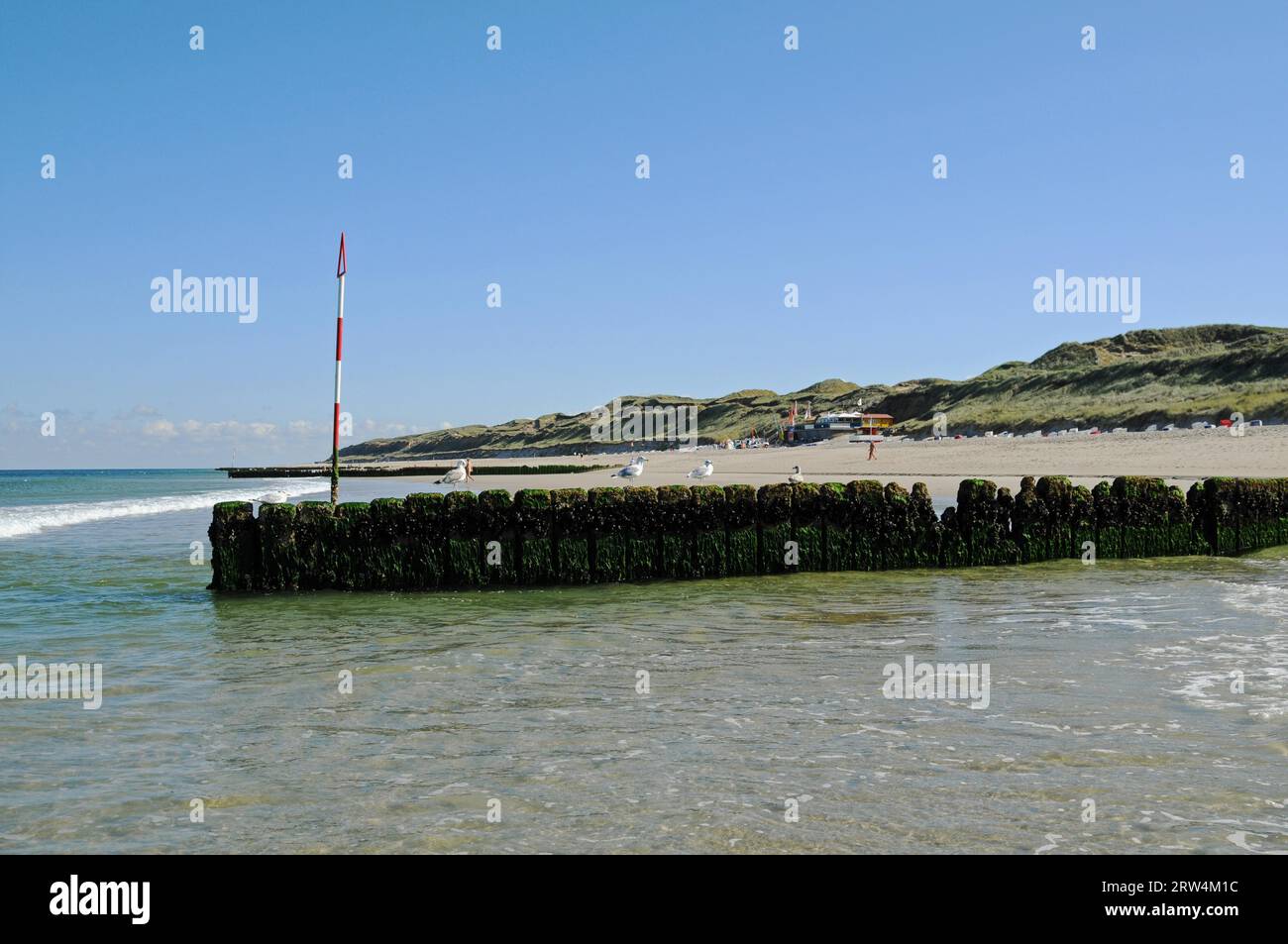 Coastal protection on the North Sea coast Stock Photo - Alamy