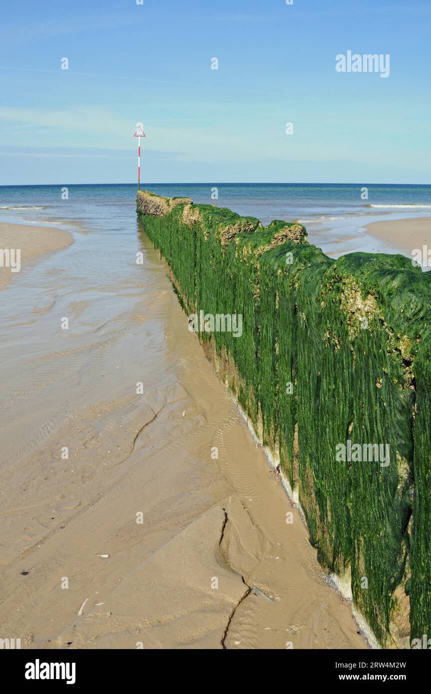 Groyne on north sea hi-res stock photography and images - Alamy