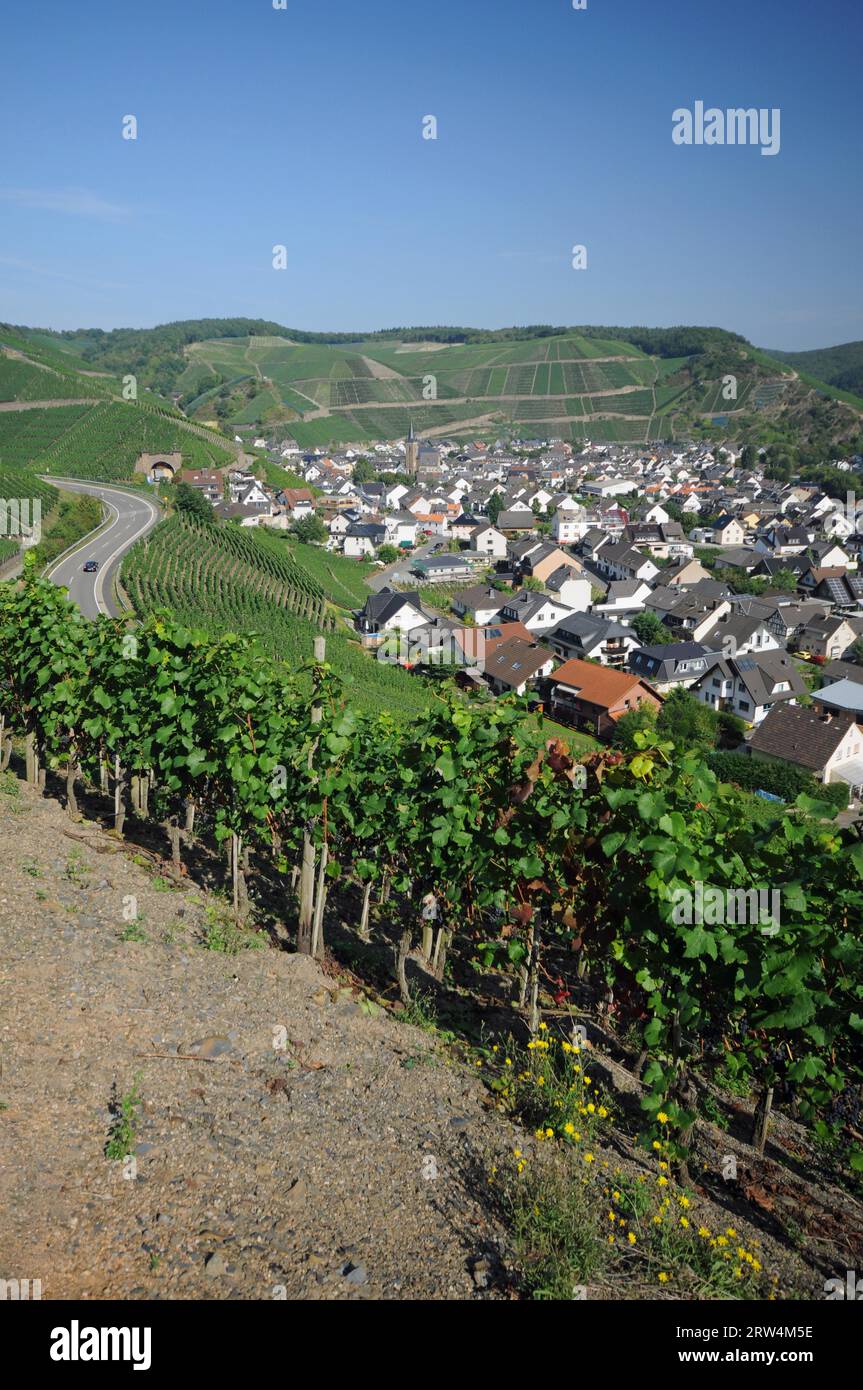 Dernau wine-growing region in the Ahr valley Stock Photo - Alamy